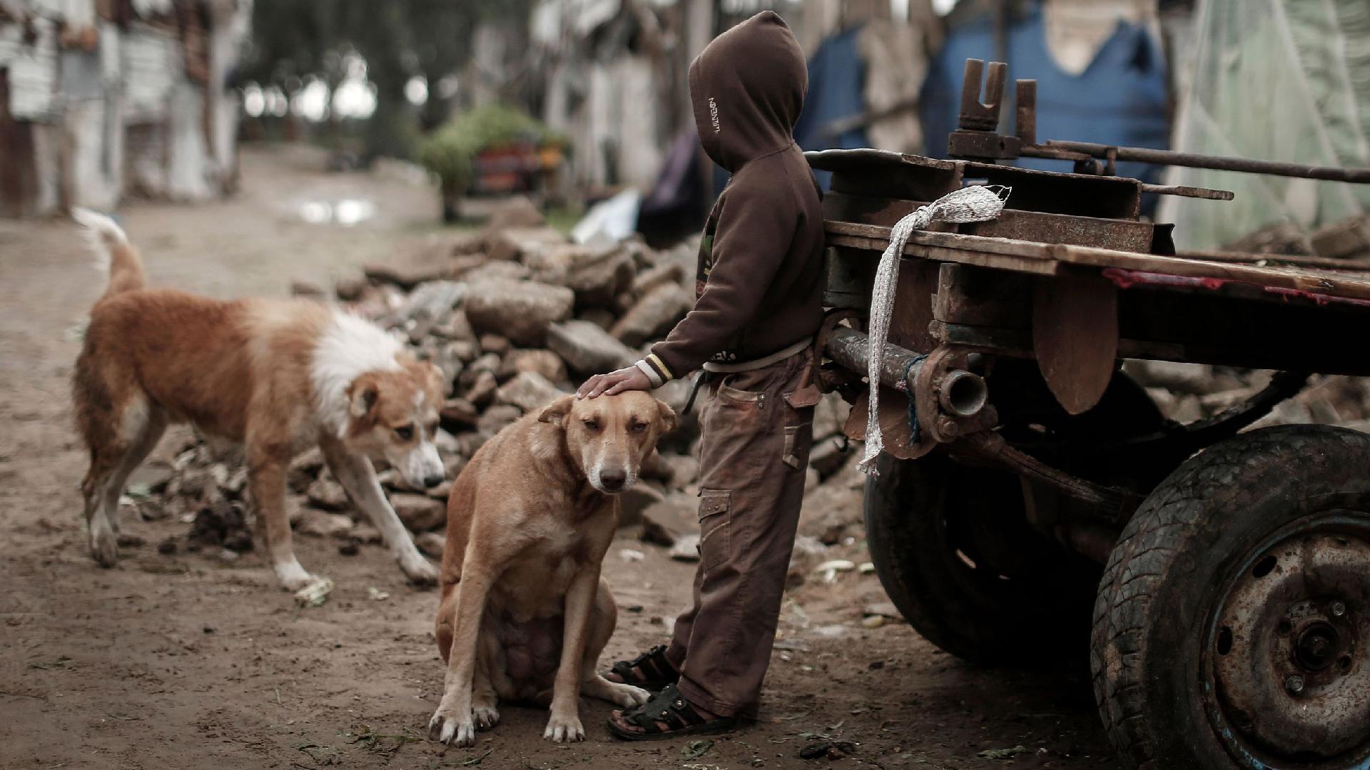 COVID-19 pandemic seriously halted progress in reducing global poverty ...