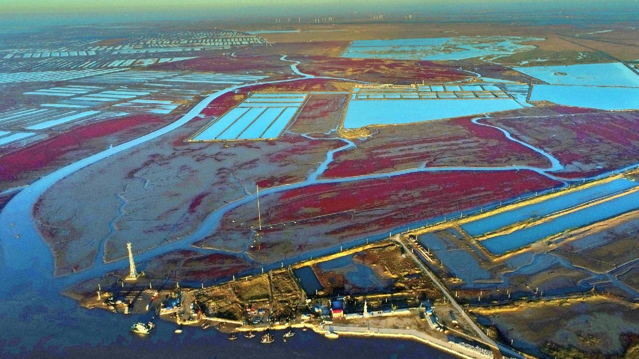 Panjin is a key petrochemical industrial base in China - CGTN