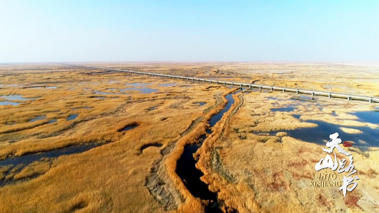 Colorful autumn foliage around sparkling NW China lake - CGTN