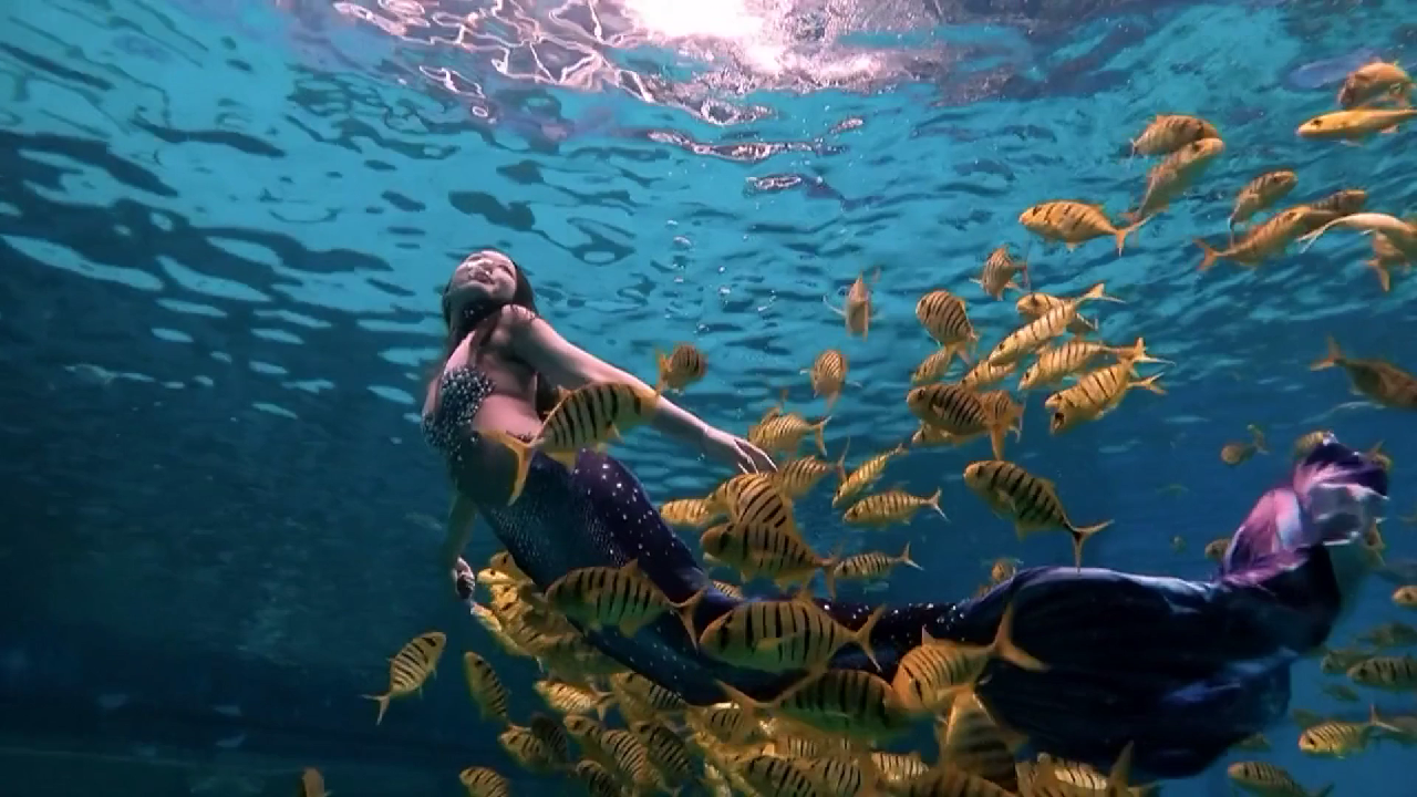Mermaid diving becomes new craze in China - CGTN
