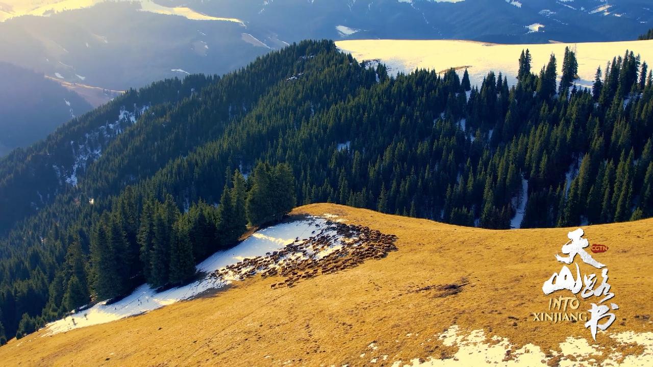 Explore the enchanting Kalajun grassland in northwest China's Xinjiang ...