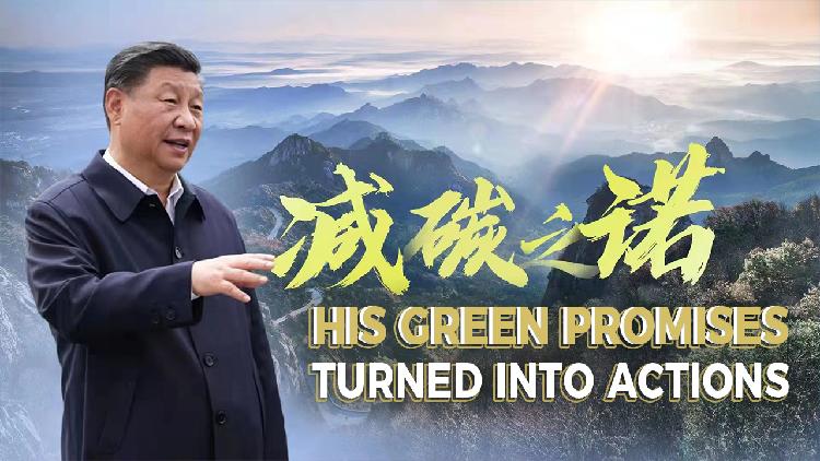 His Green Promises Turned into Actions - CGTN