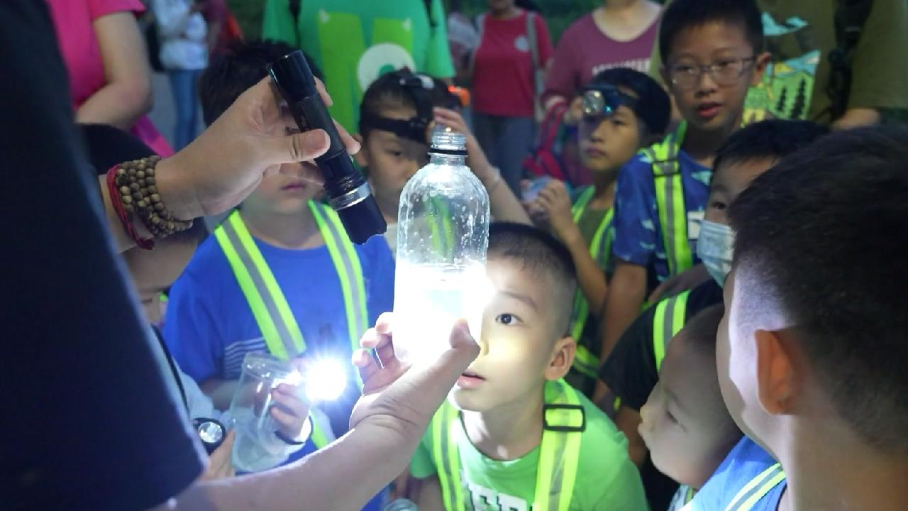 Exploring outdoors at night becomes popular kids' activity - CGTN