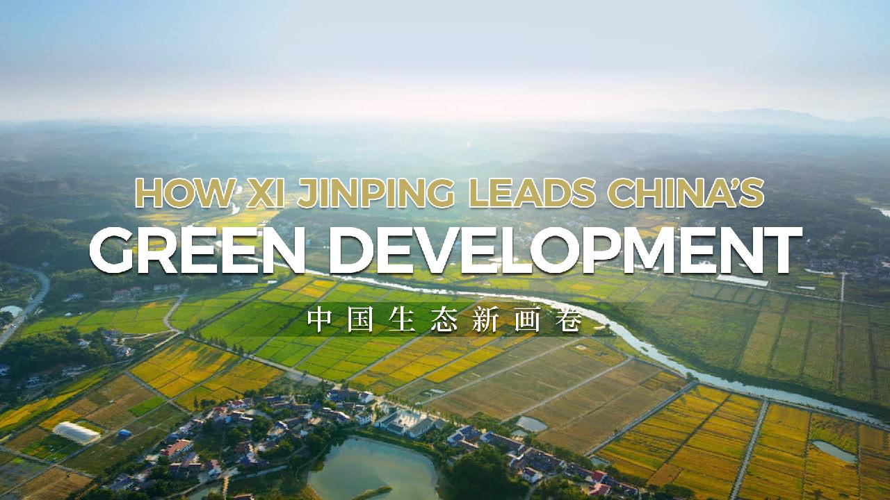 How Xi Jinping leads China's green development - CGTN