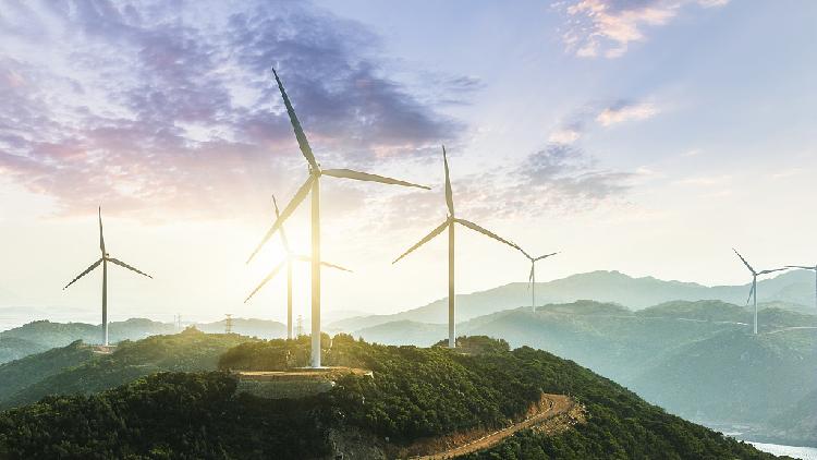 Participants from BRI countries discuss green development - CGTN