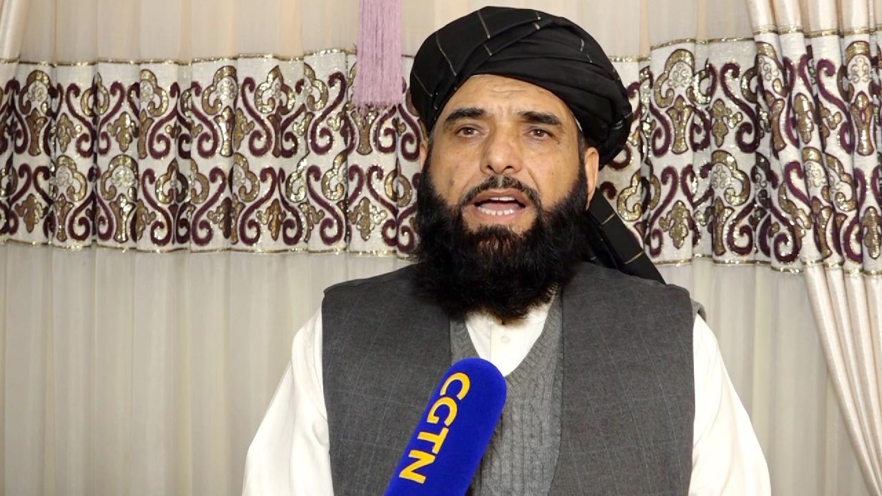 Exclusive: Taliban say meetings with U.S., EU made progress - CGTN