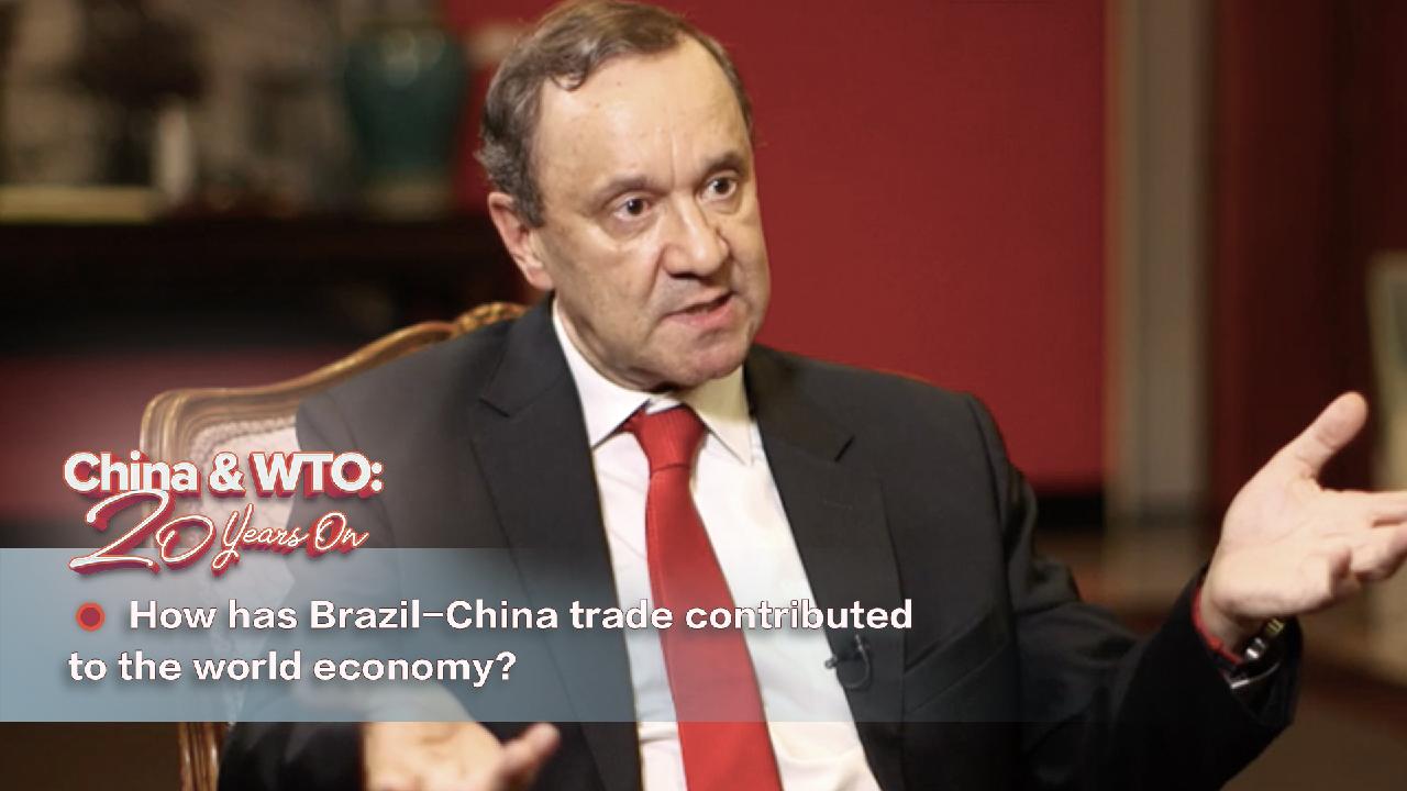 China-WTO: How has Brazil-China trade contributed to world economy? - CGTN