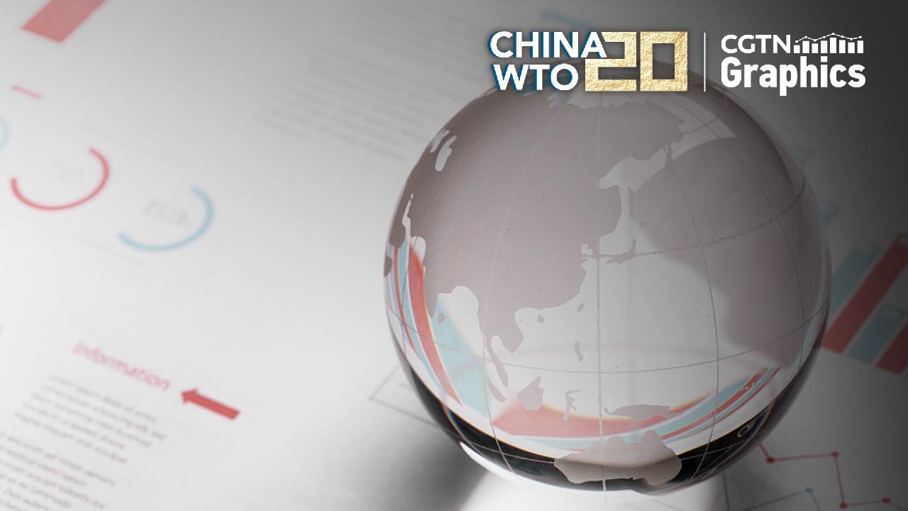 20th anniversary of China joining WTO: Growing with the world - CGTN