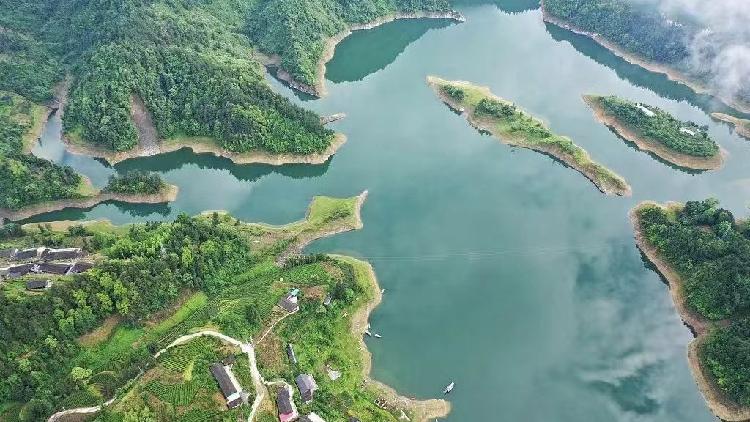 Xi: 'If we do not fail nature, nature shall never fail us' - CGTN