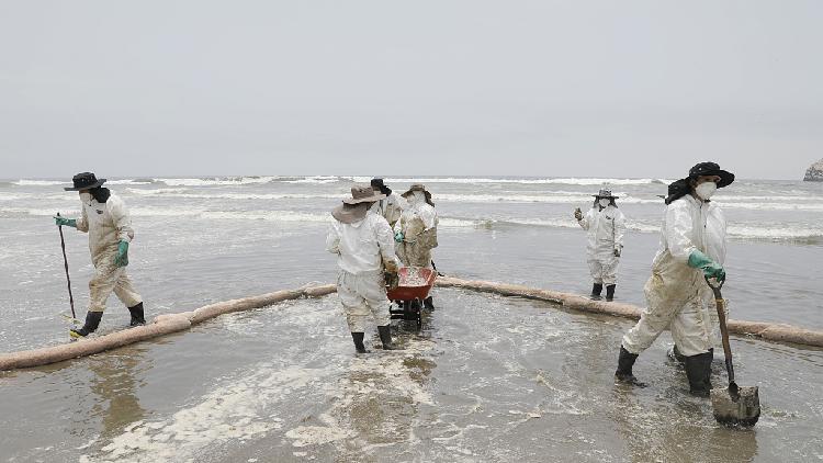 Oil spill due to Tonga eruption threatens marine life - CGTN