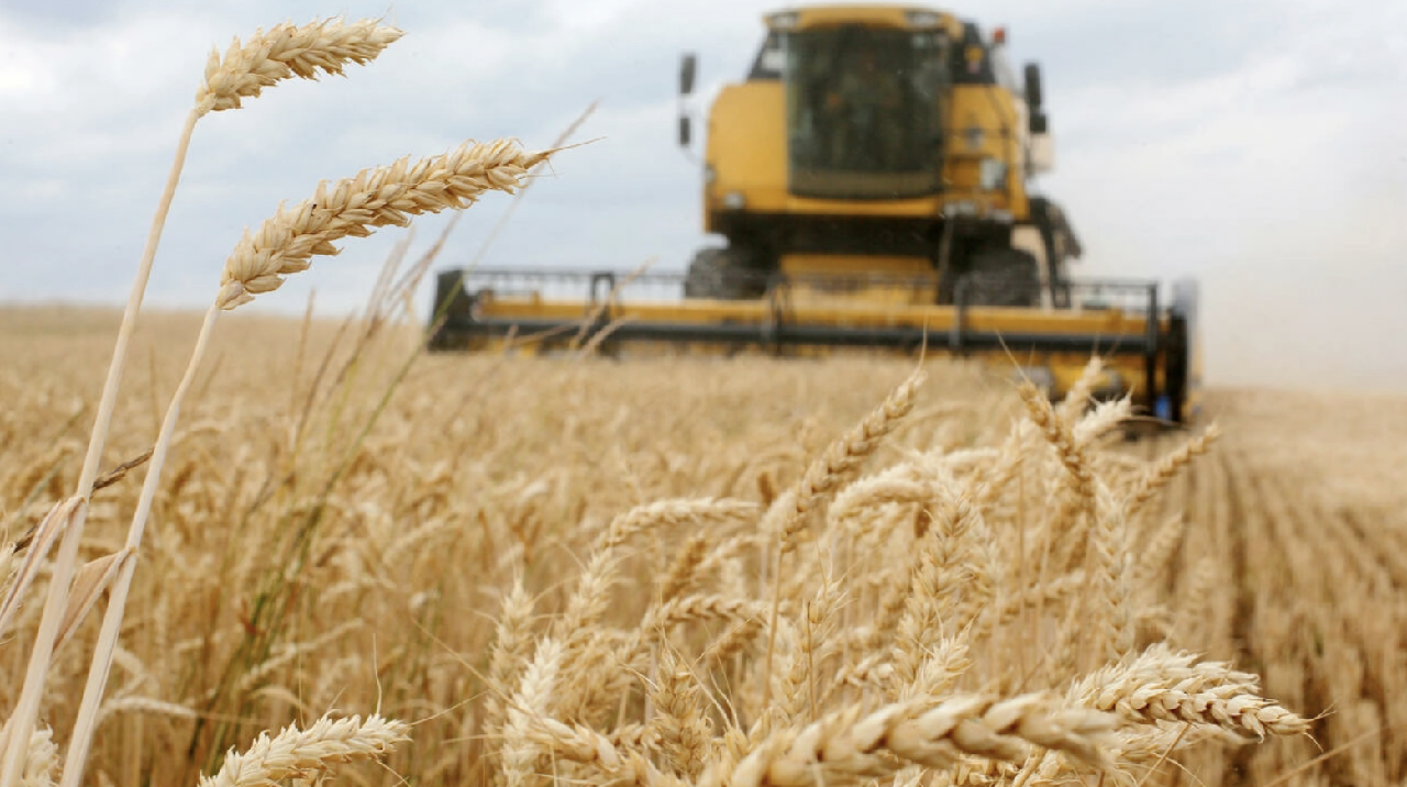 How the Russia-Ukraine conflict is threatening global food security - CGTN