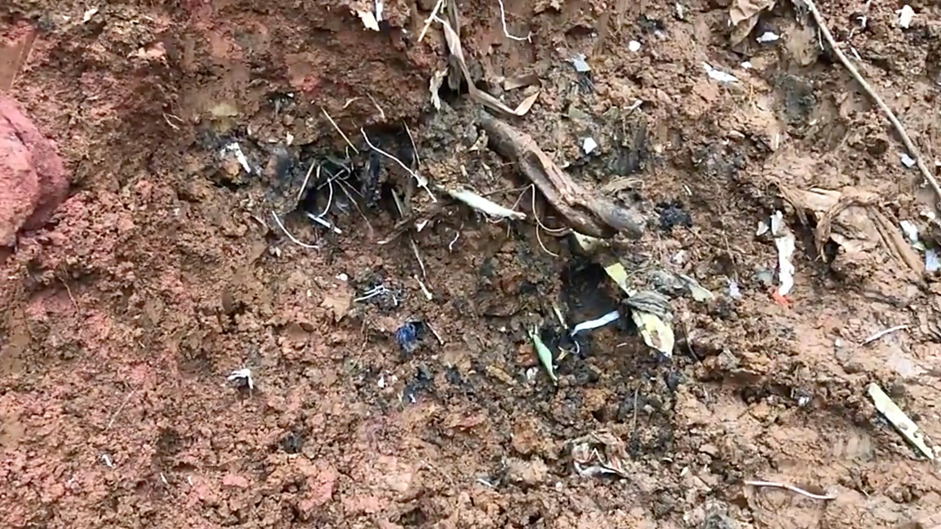 Video shows where second black box from MU5735 was discovered - CGTN