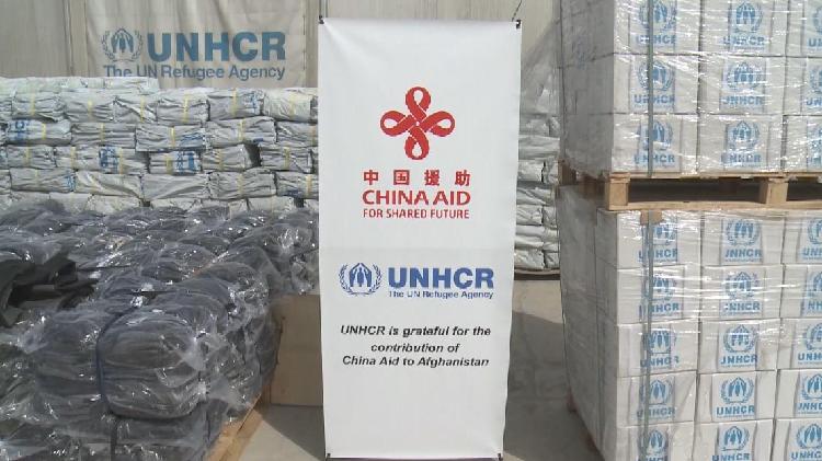 China donates humanitarian aid to help Afghans survive crisis - CGTN