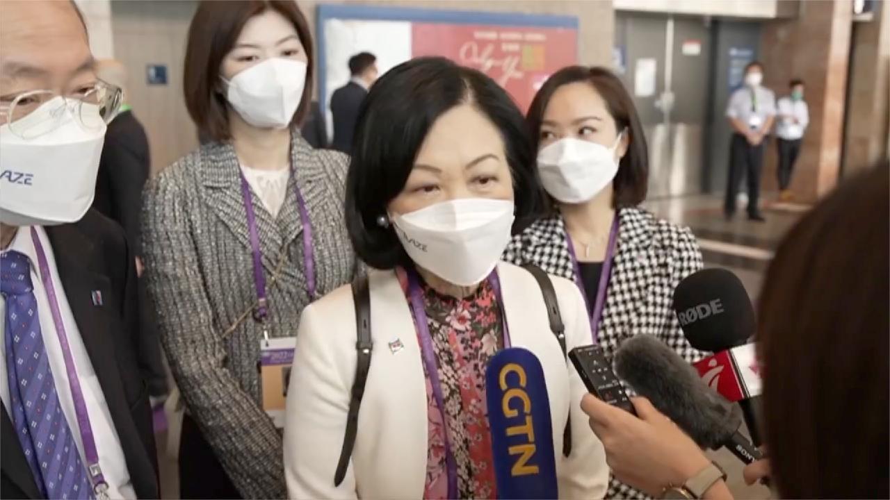 Regina Ip: New Election Committee able to represent HK people's will - CGTN
