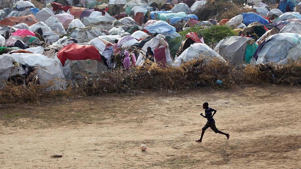 WFP calls on Elon Musk and billionaires to solve "global food crisis ...