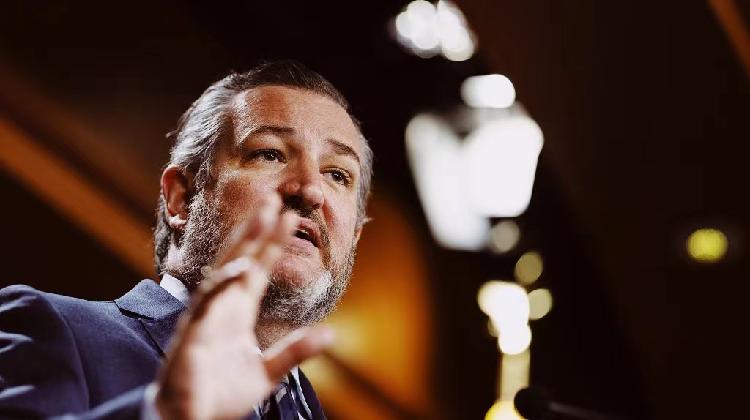 British reporter confronts Ted Cruz about mass shootings in U.S. - CGTN