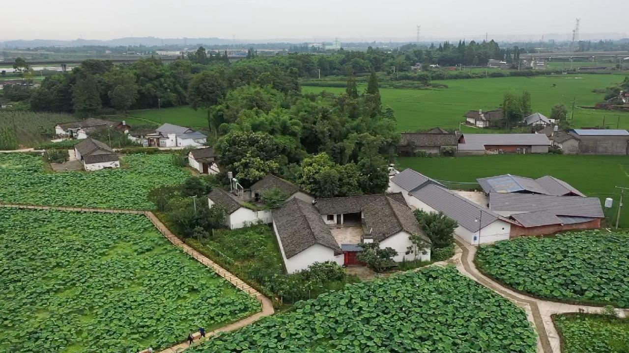 Yongfeng Village in SW China speeds up rural revitalization - CGTN