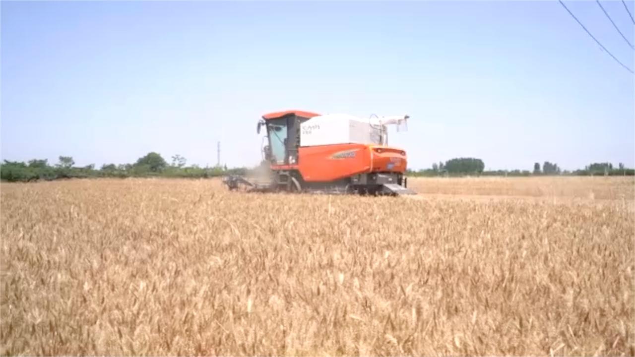 Tech speeds up summer wheat harvest in Shaanxi Province, NW China - CGTN