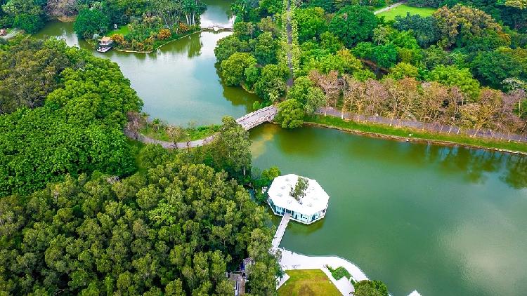 South China National Botanical Garden plays vital role in botany - CGTN