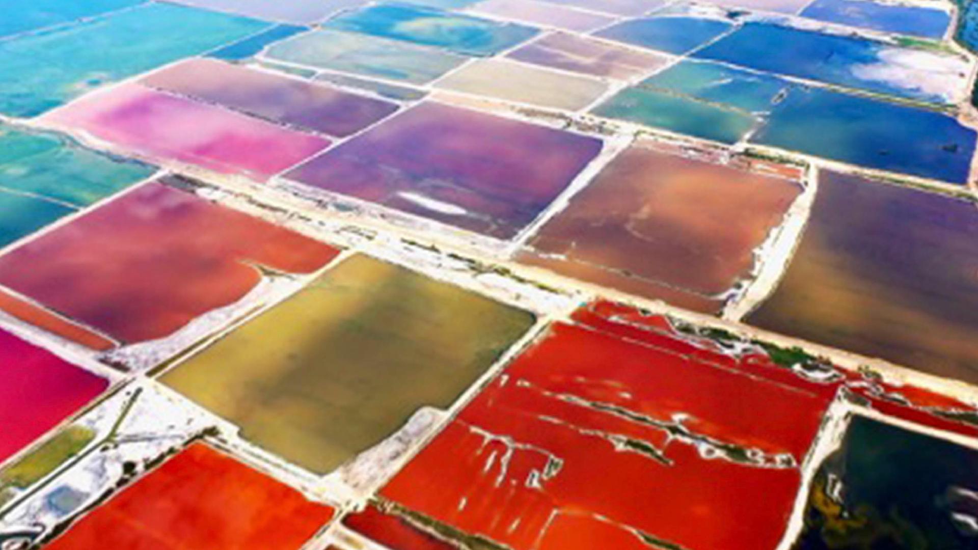 Salt lake in north China turns into multi-colored palette - CGTN