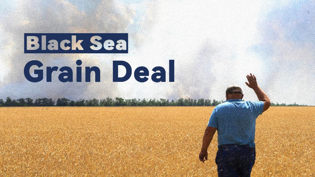 What Does Ukraine s Grain Deal Mean For Conflict Global Food Crisis What Does Ukraine s Grain Deal Mean For Conflict Global Food Crisis