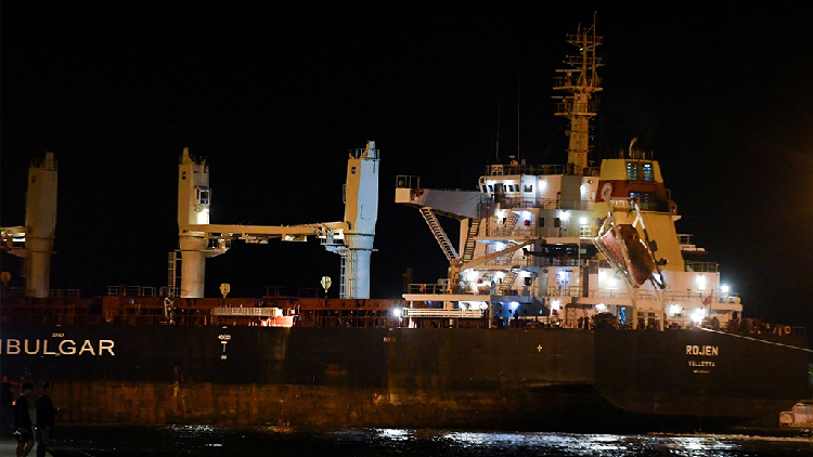 Ship carrying Ukrainian corn arrives in Italian port - CGTN