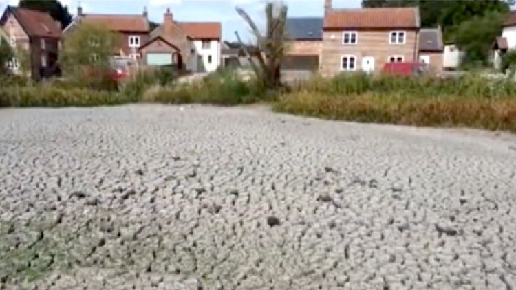 UK government formally declares drought for parts of England - CGTN