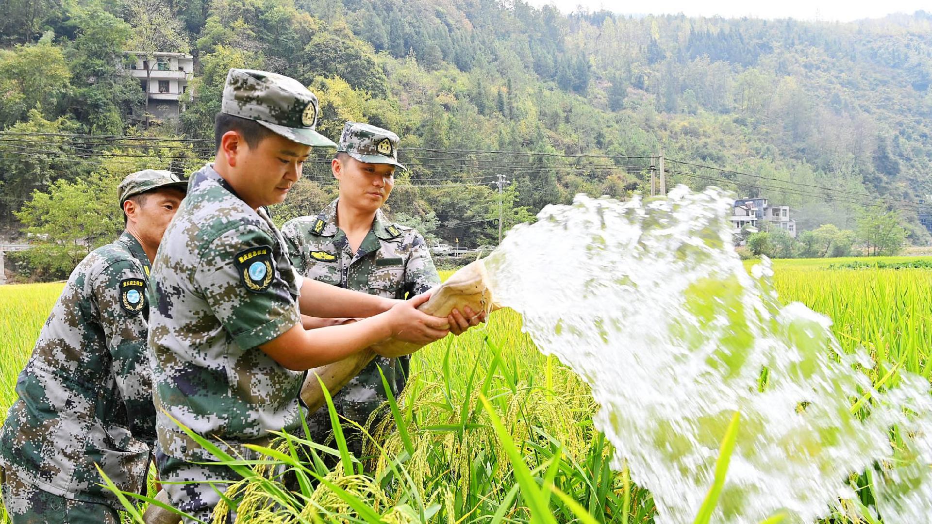 China's Chongqing continues to issue red alert for high temperatures - CGTN