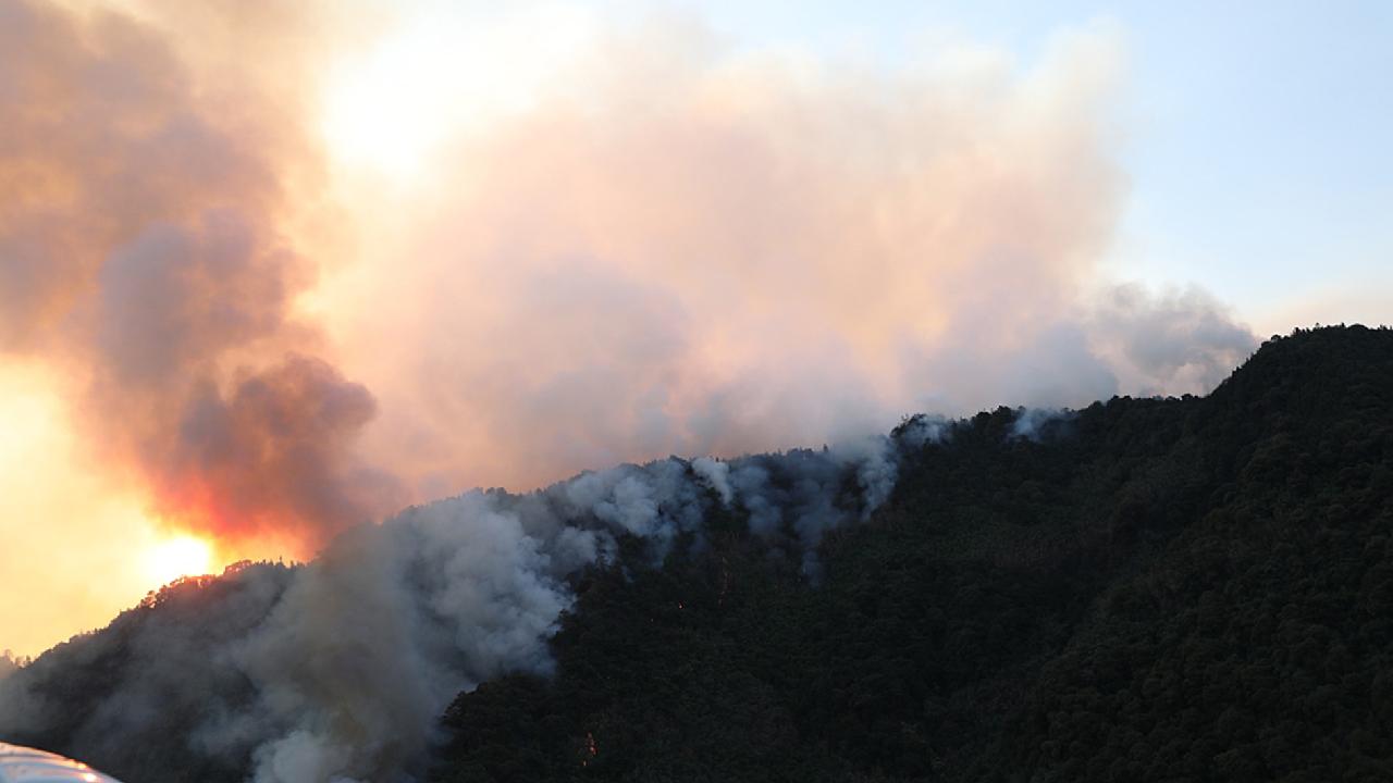 Firefighters burn inflammable material to stop wildfire in Chongqing - CGTN