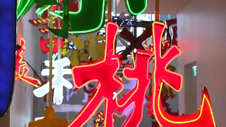 Judith Neilson's White Rabbit Gallery exhibits Chinese art - CGTN