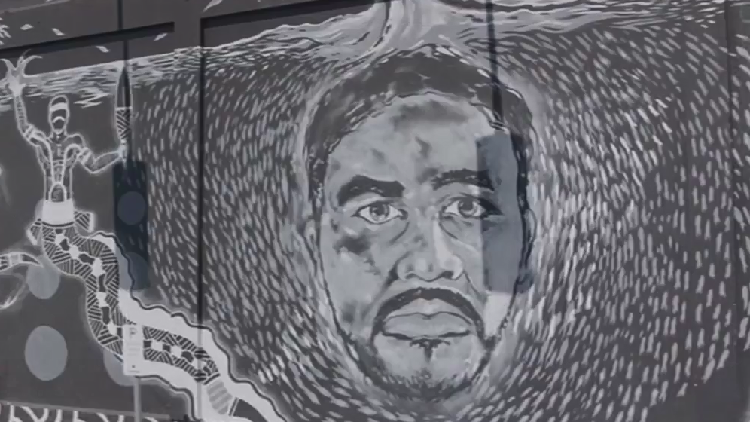 Sydney-born artist transforms Townsville using city walls as canvas - CGTN