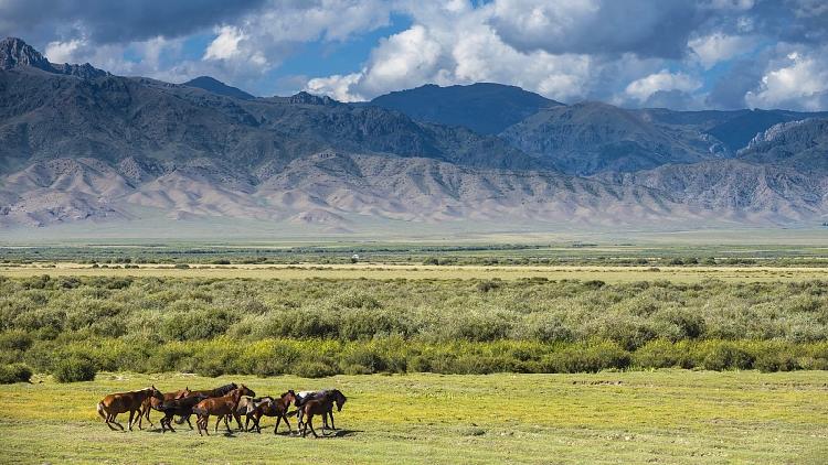 China, Kazakhstan achieve tangible results in environment protection - CGTN