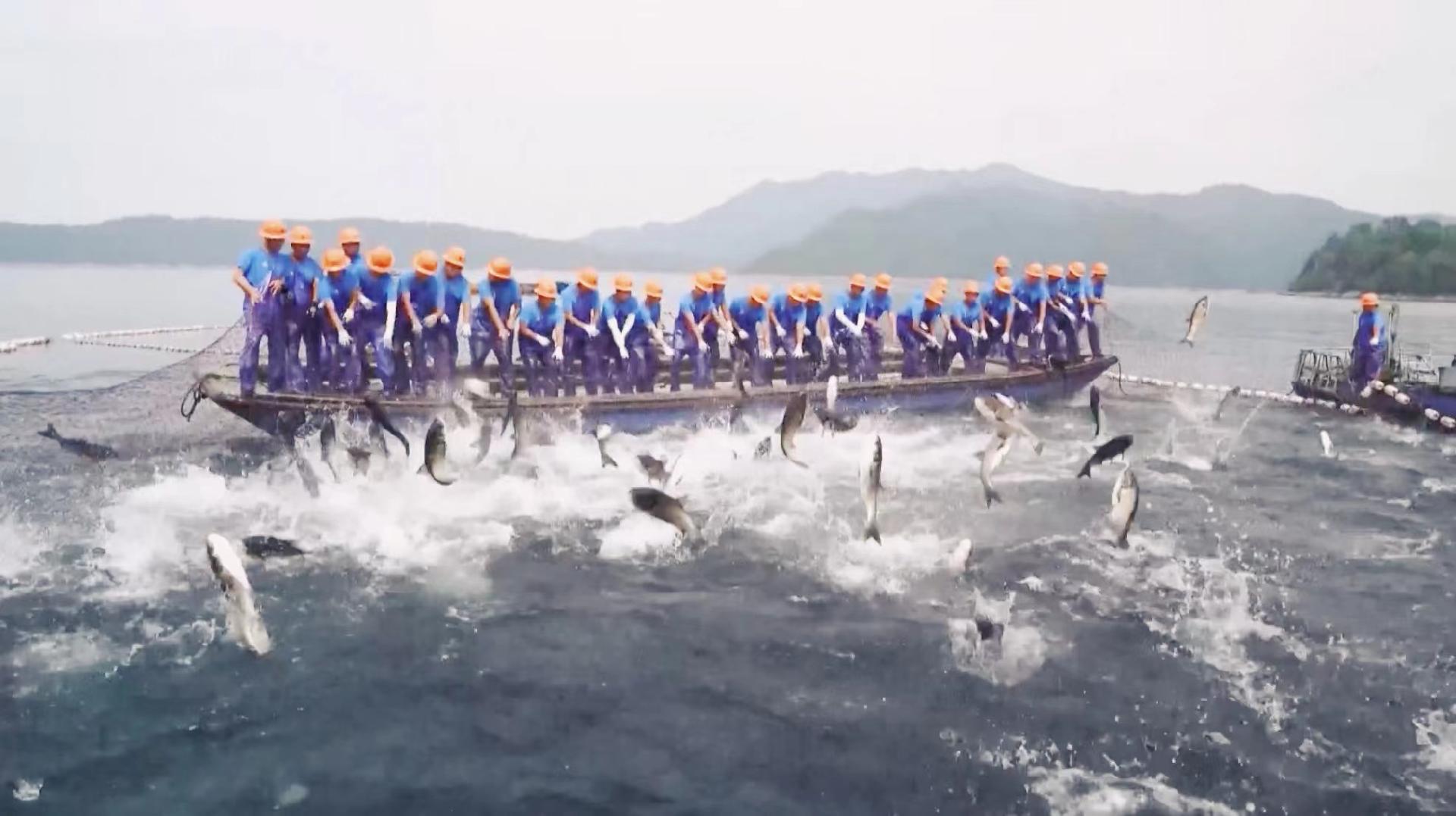 Zhejiang, Jiangsu fishermen reel in bumper catch - CGTN