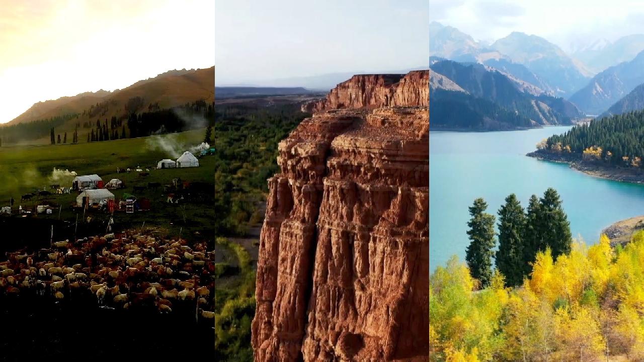 Autumn colors in Xinjiang offer dazzling palette - CGTN