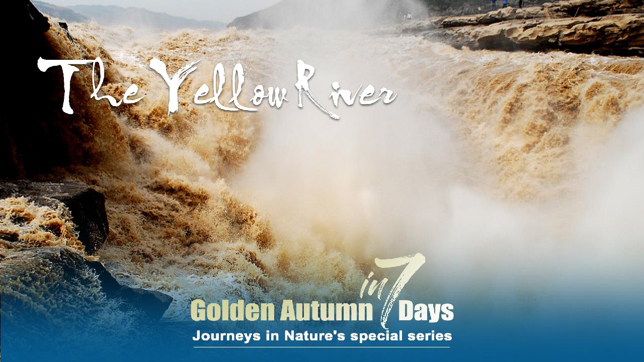 Day 4: Explore the unknown side of the Yellow River - CGTN