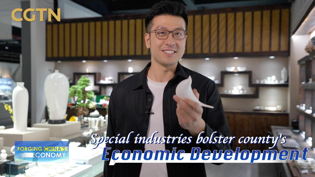 Special industries bolster county's economic development - CGTN