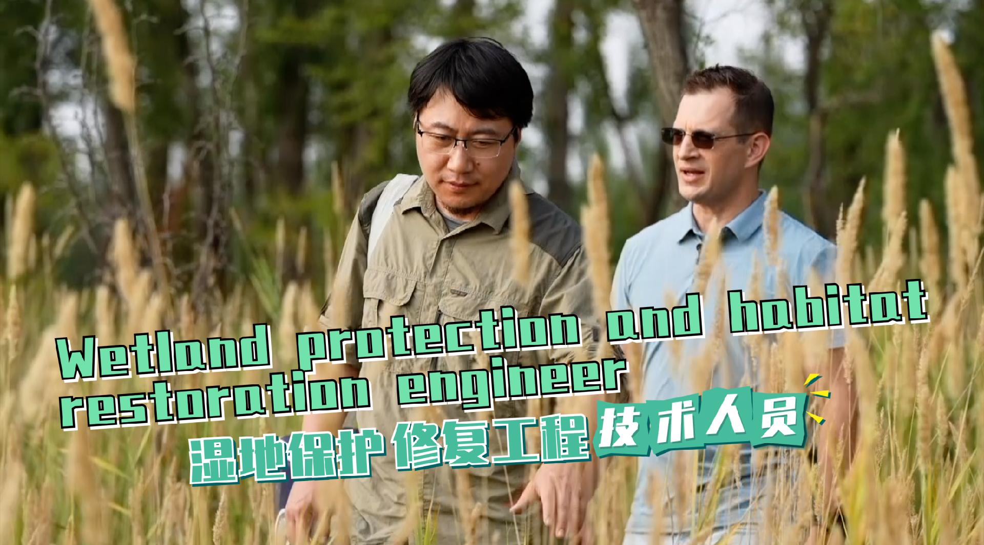 Wetland protection and habitat restoration engineer - CGTN