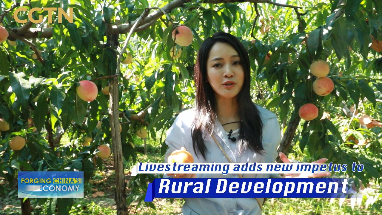 Livestreaming adds new impetus to rural development - CGTN
