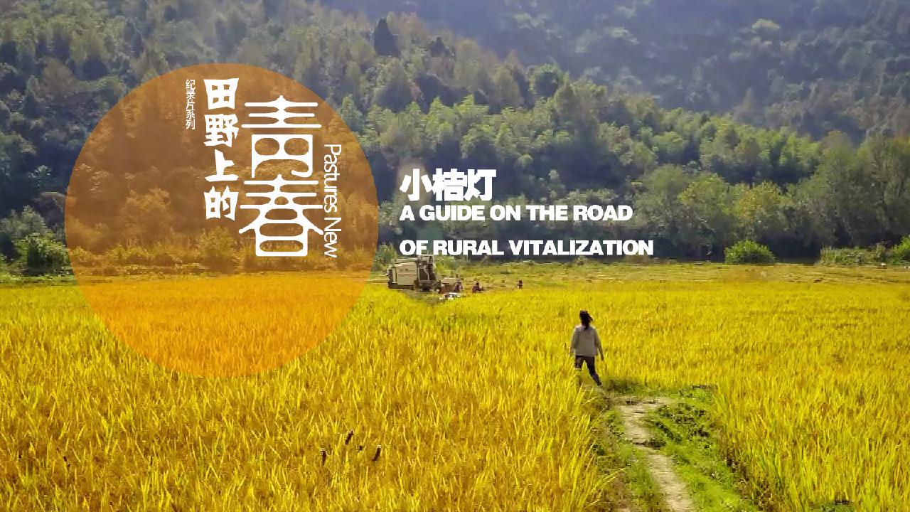 Pastures New: A Guide on the Road of Rural Vitalization - CGTN