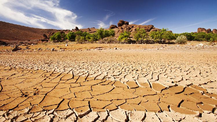 China dedicated to addressing climate change, already makes progress - CGTN