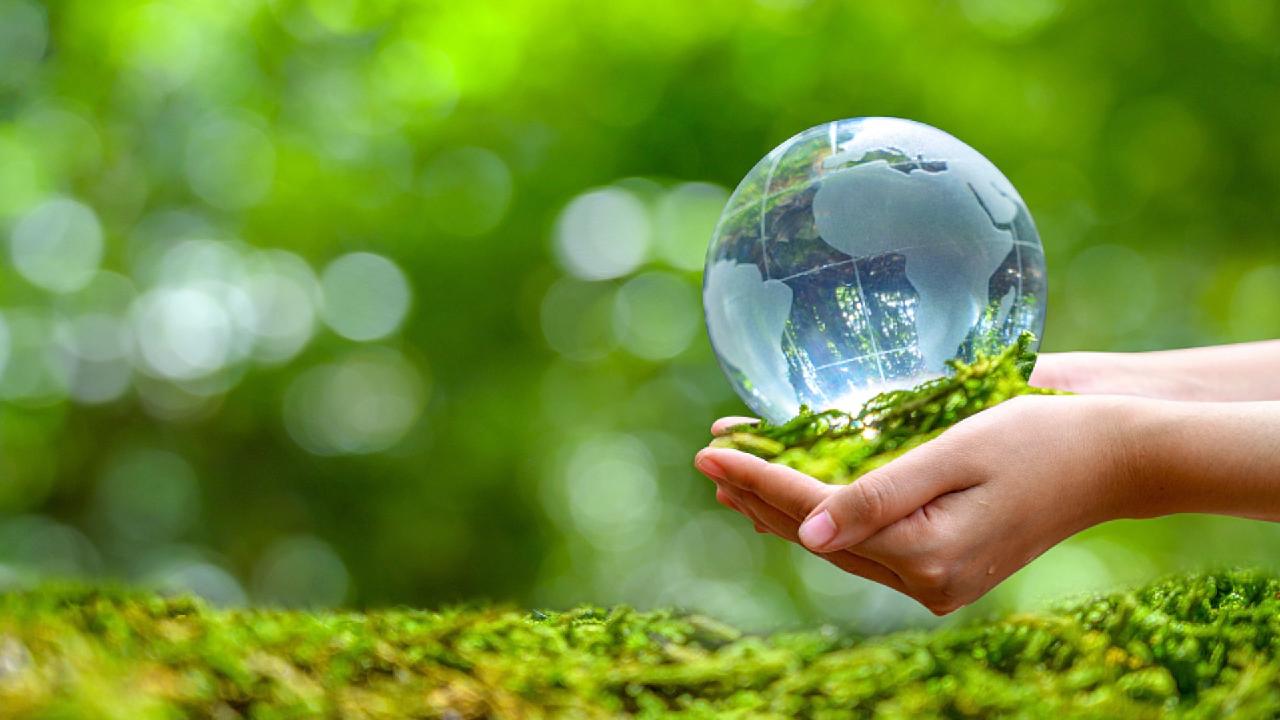 China promotes equitable system for global environmental governance - CGTN