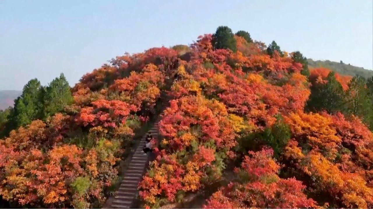 Breathtaking autumnal colors attract visitors across China - CGTN