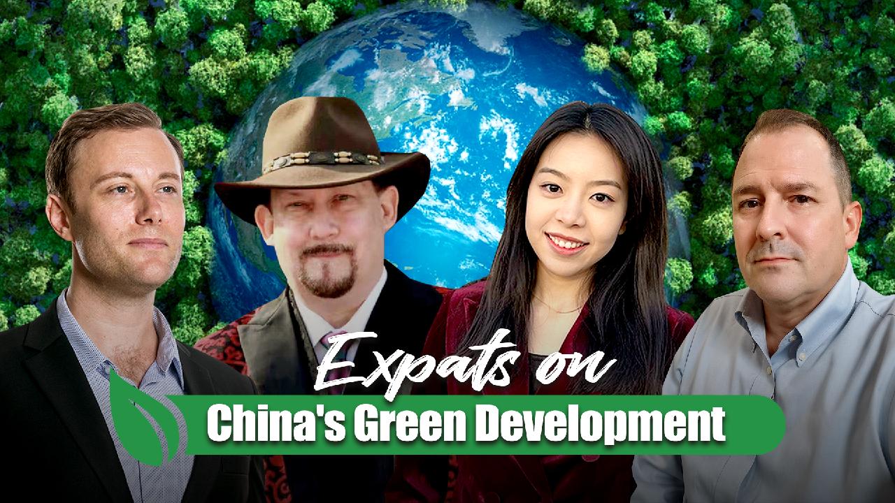 Expats on China's green development - CGTN
