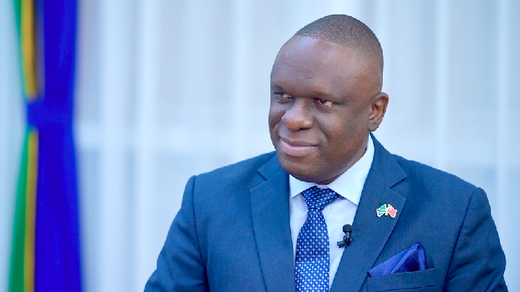 Tanzanian Ambassador Hopes To Promote Cooperation Amid Ciie Cgtn