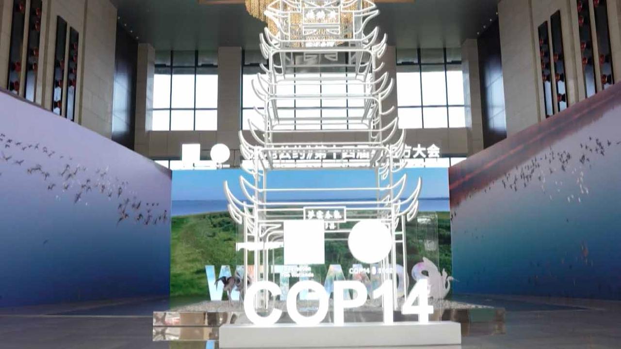 China co-hosts COP14 with Switzerland - CGTN