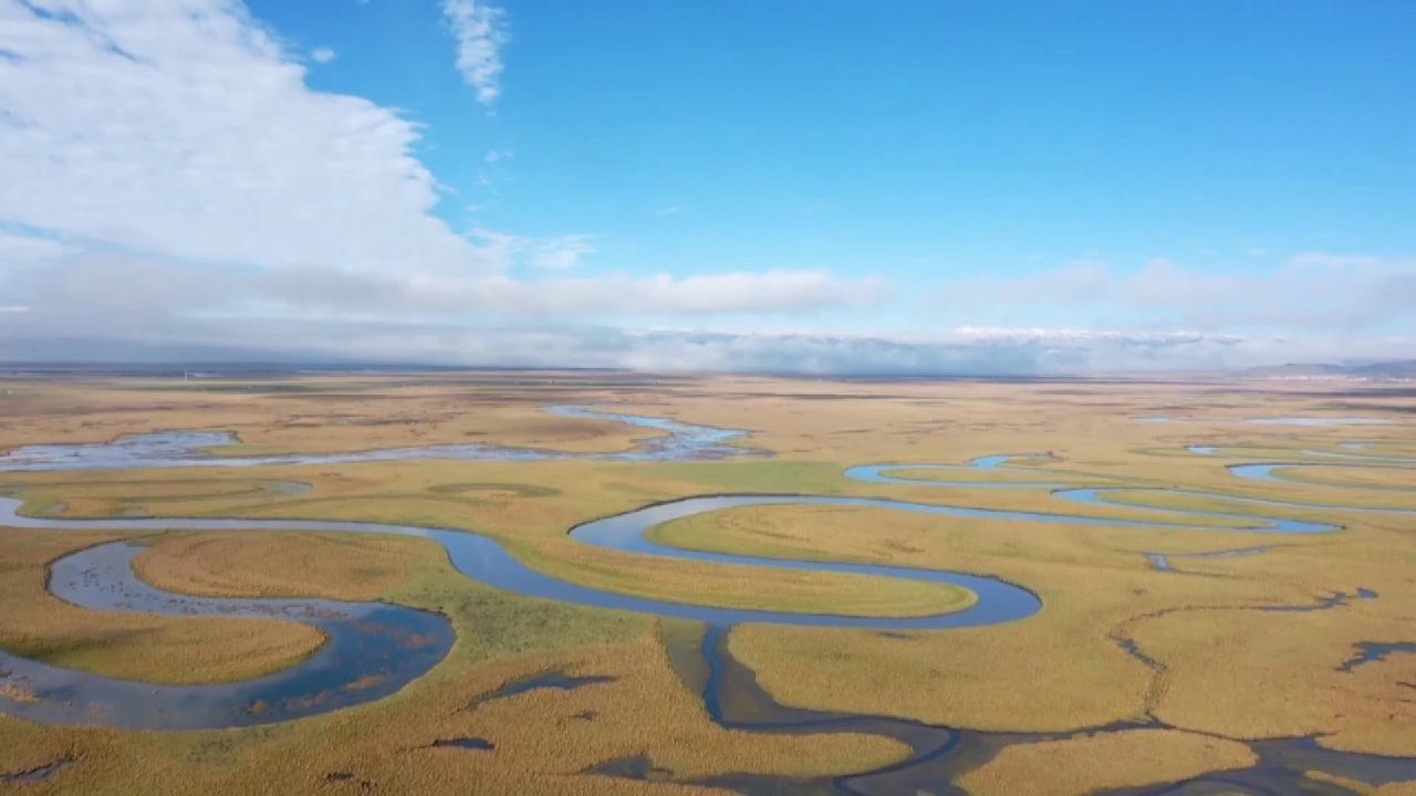 Xi: China to promote high-quality wetland protection - CGTN