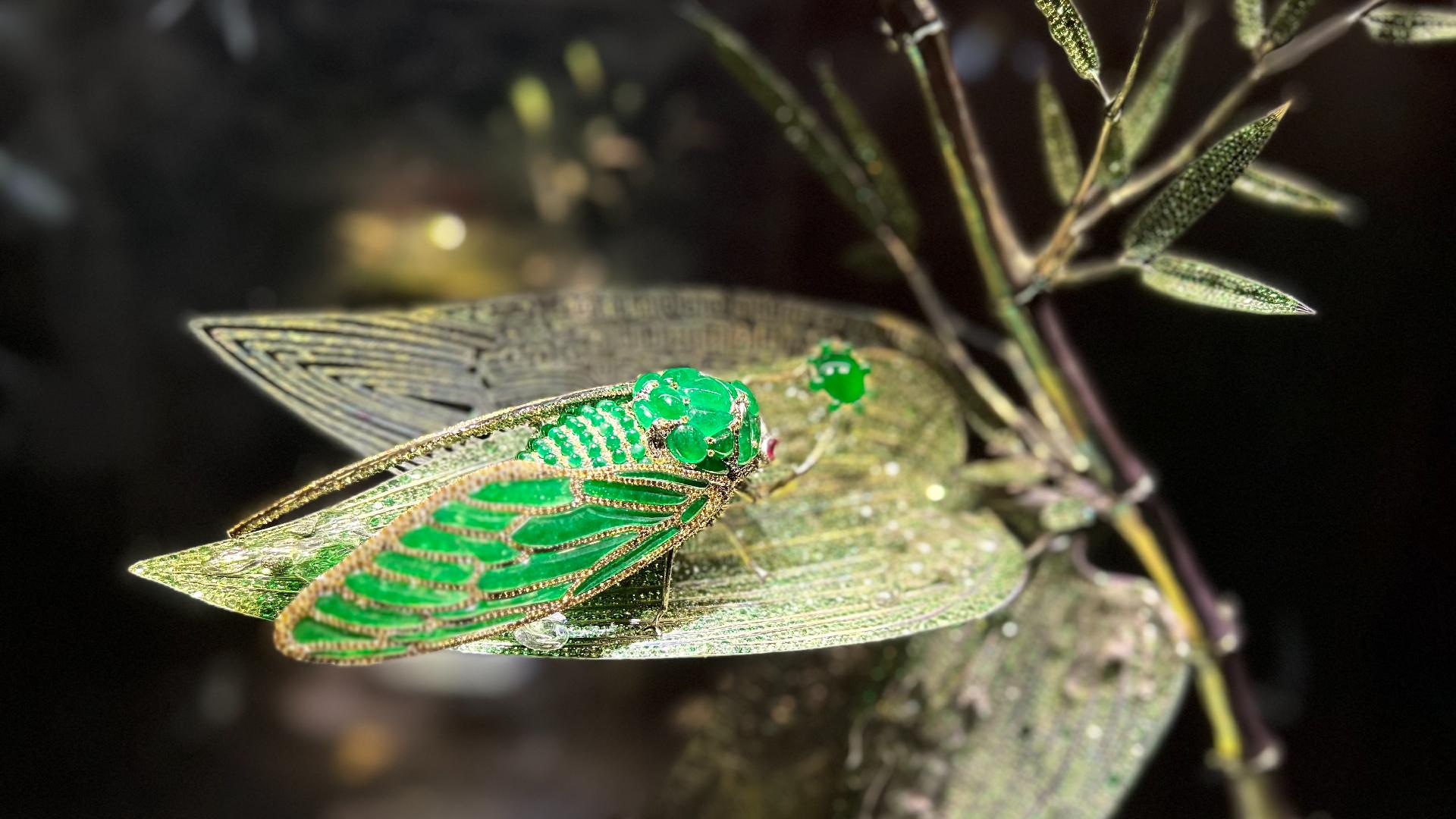 CIIE 2022: China sees promising future in art collection market - CGTN