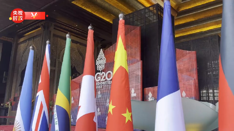 Chinese President Xi Jinping to attend welcome ceremony of G20 Summit ...