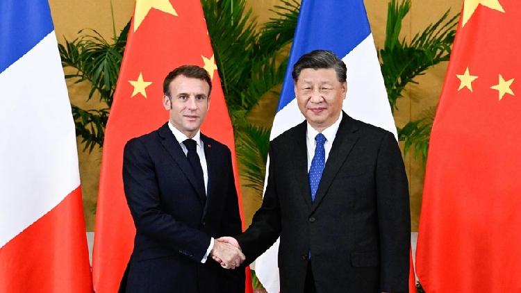 Xi says positive momentum in China-France ties as he meets Macron - CGTN