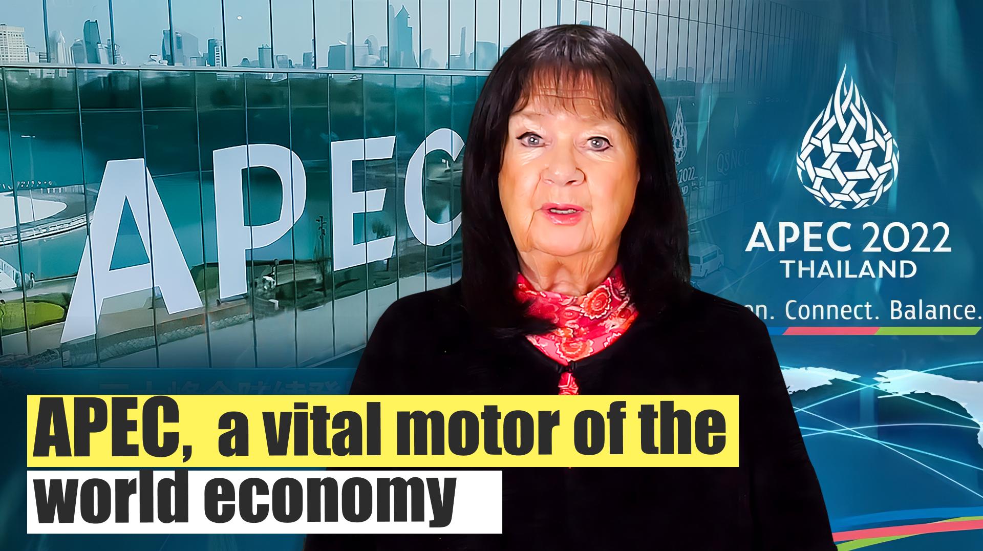 APEC, a vital motor of the world economy - CGTN